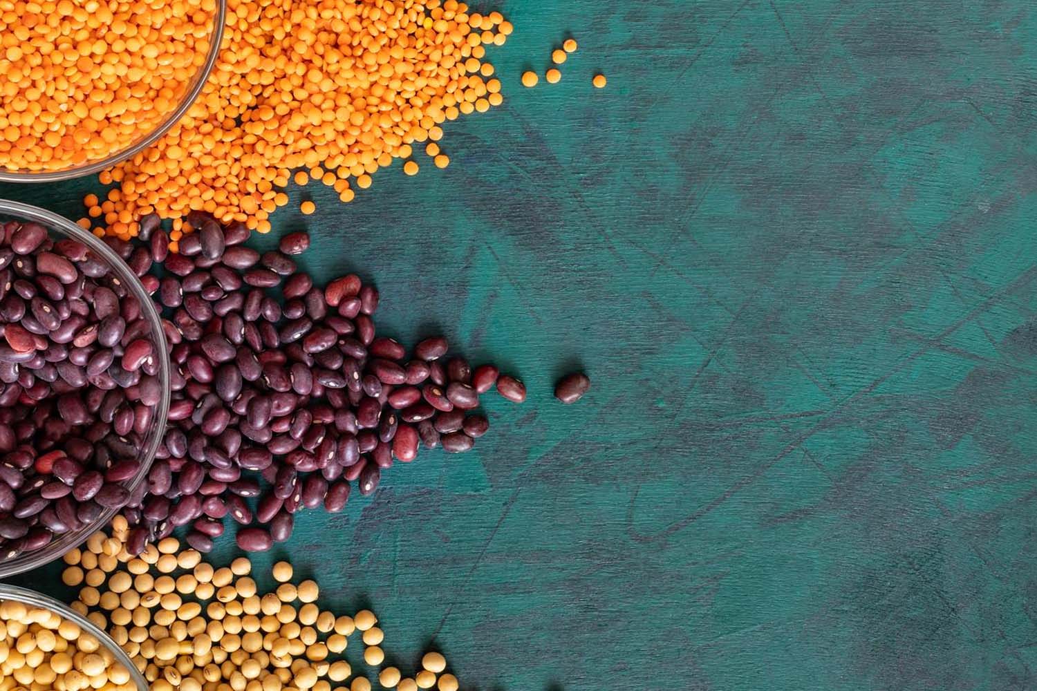 Freshness, Flavor & Convenience: Why Dubai Chooses Farmexfreshia